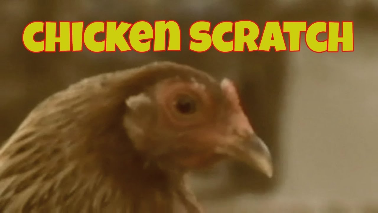 Chicken Scratch - YouTube