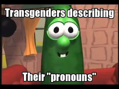 transgenders describing their pronouns meme