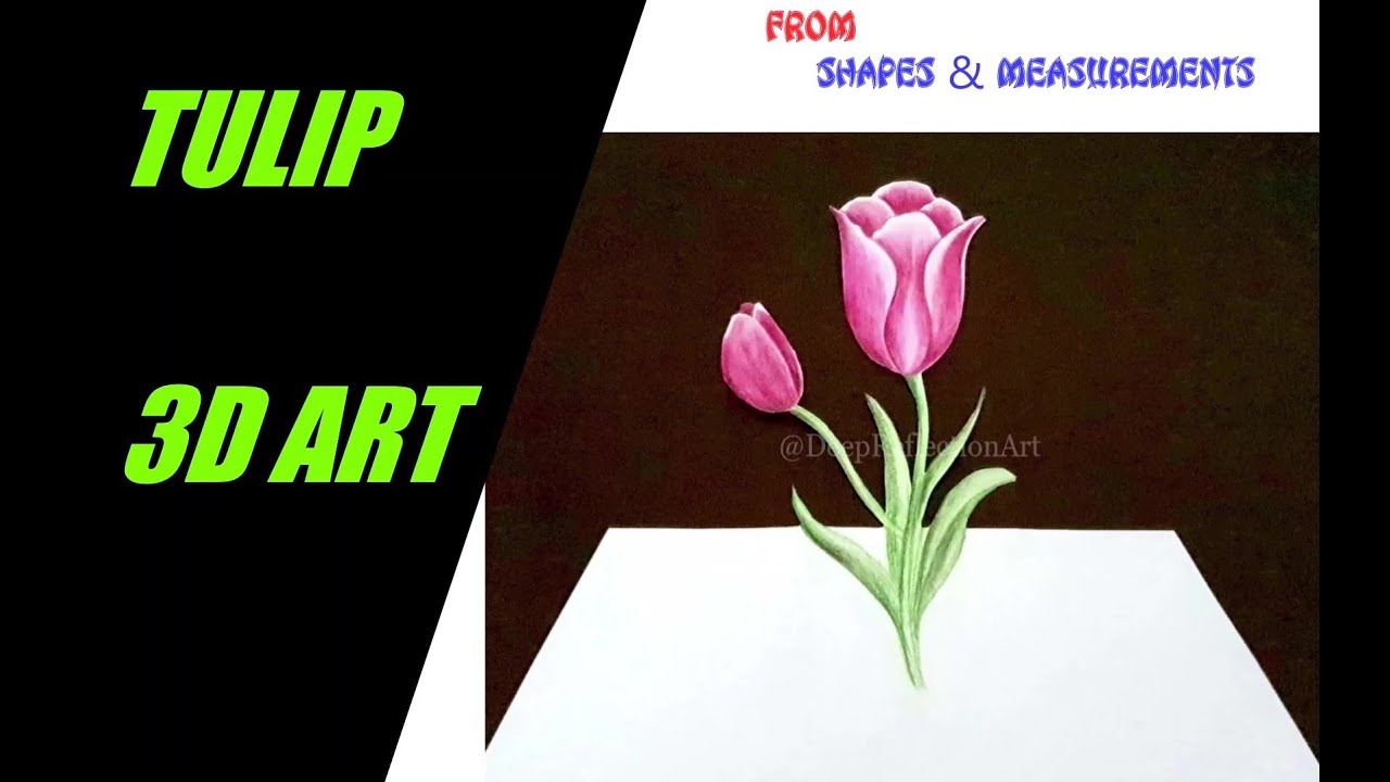 How to draw 3D TULIP /3D ART/ TRICK ON PAPER / REALISTIC DRAWING ...