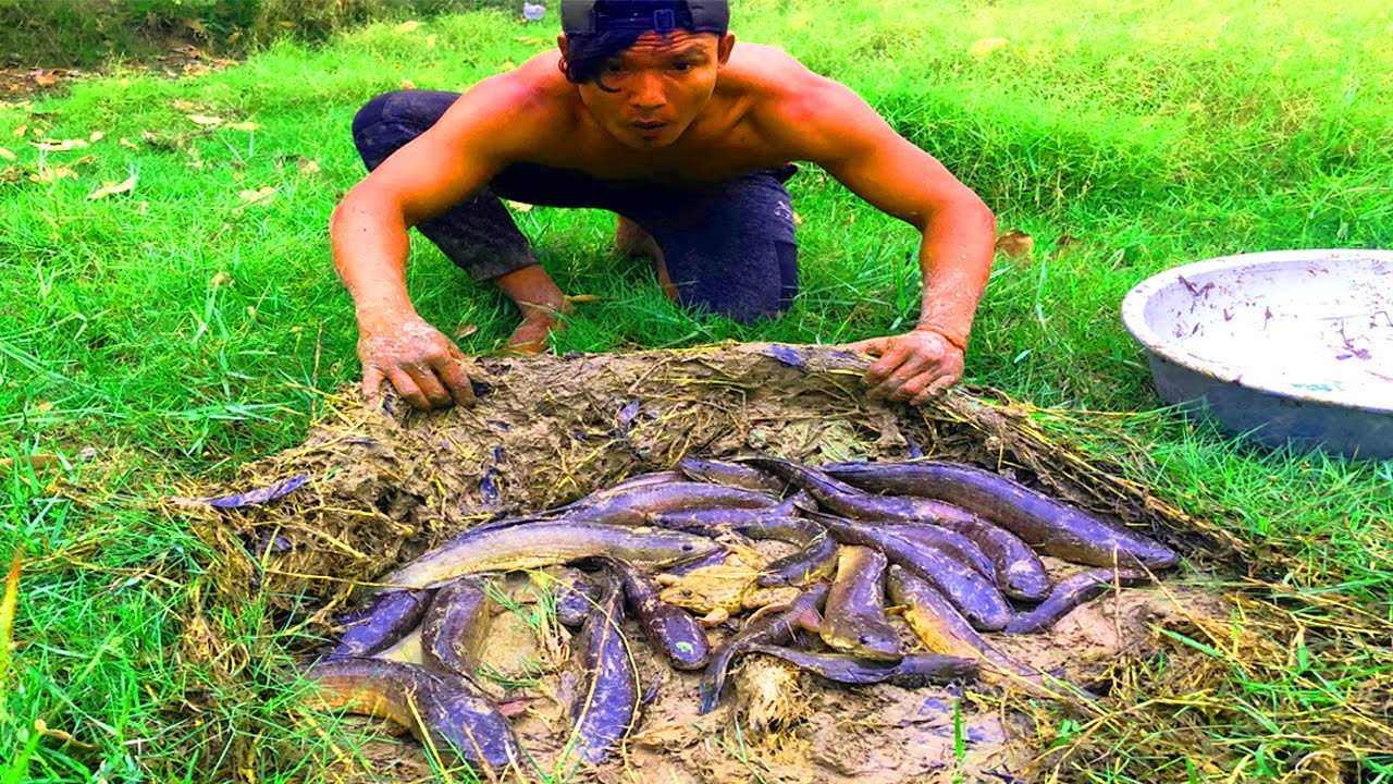 Find fish under the grass , Catch very big fish - YouTube