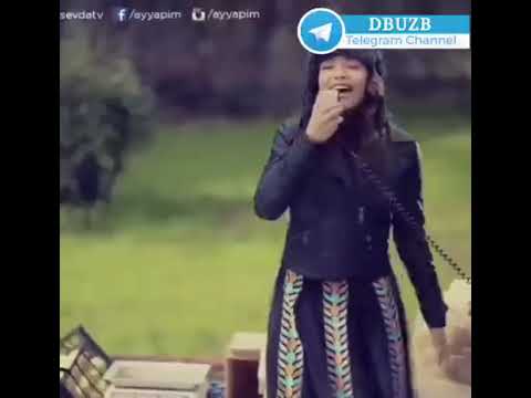 Kamol va Nihon Prikol