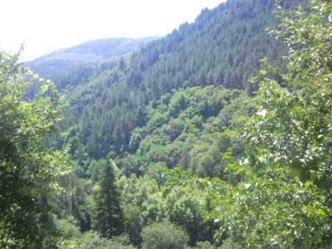 DOĞANYURT MANZARA RESİMLERİ