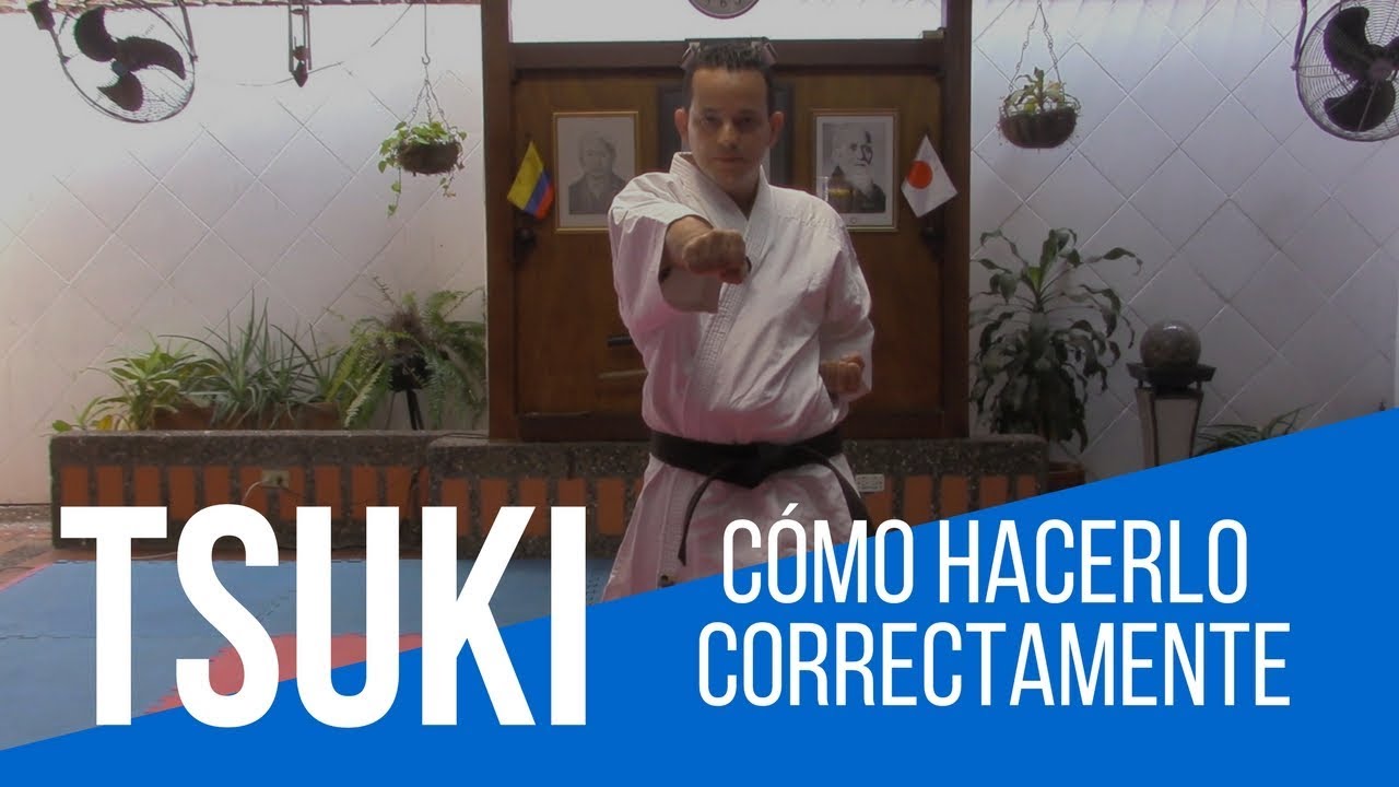 👊TSUKI en KARATE SHOTOKAN👊 (primeras técnicas) - YouTube