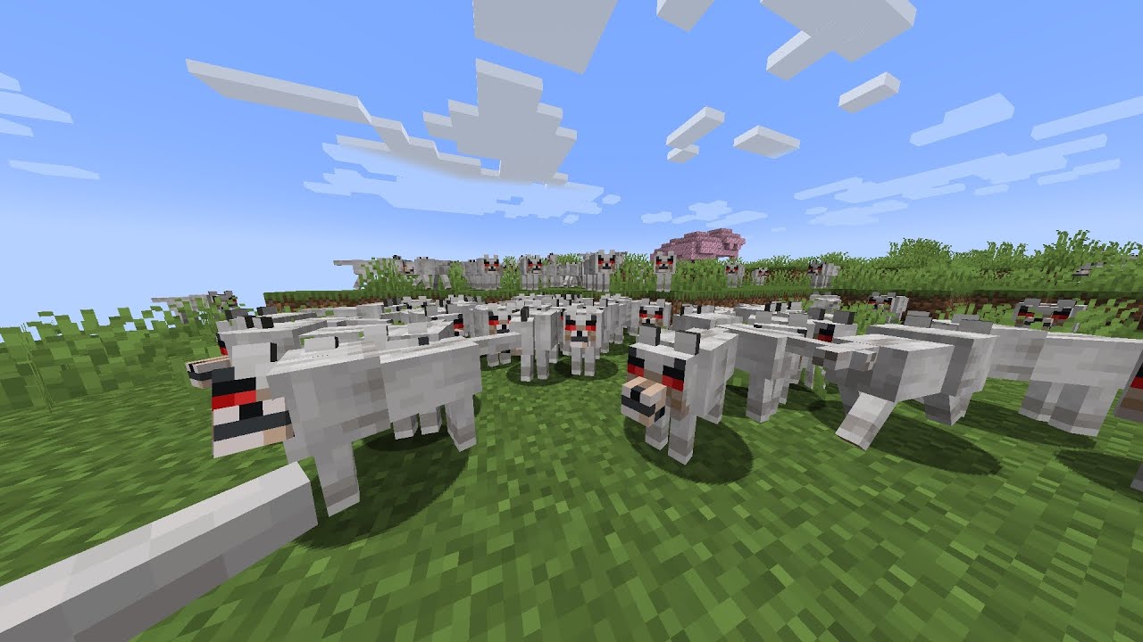 Minecraft, but 300 wolves get mad at me and chase me until I'm dead ...