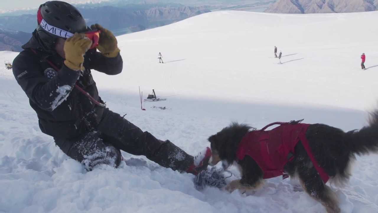 Treble Cone Ski Resort New Zealand - Aspiring Avalanche Dogs (July 2013 ...