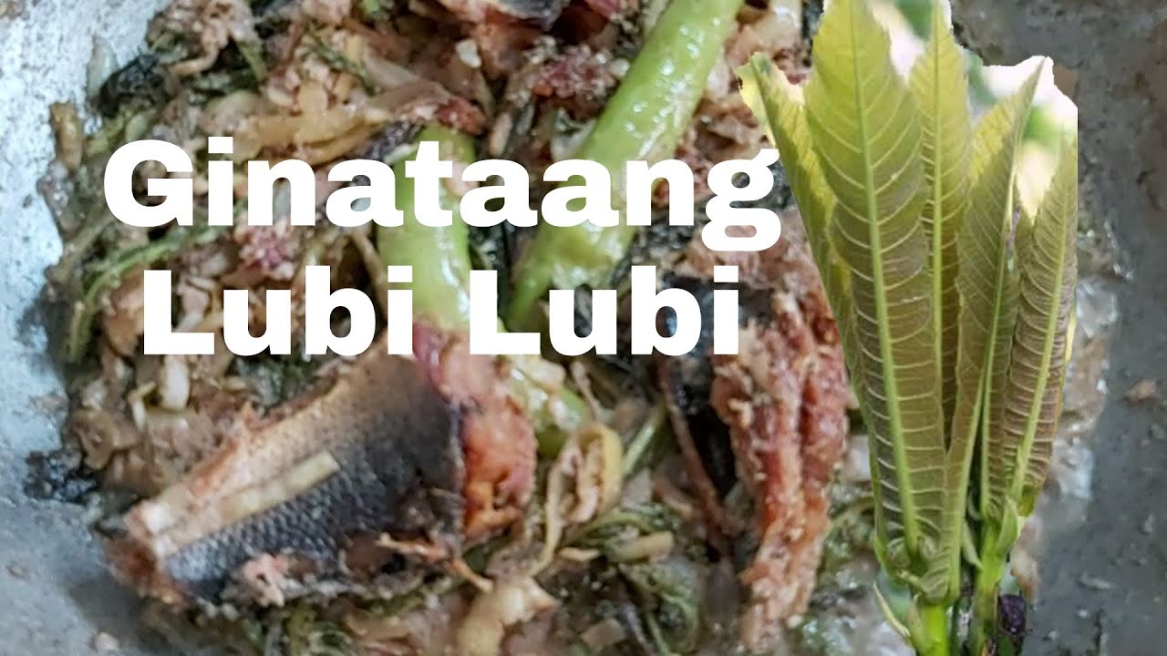 GINATAANG LUBI LUBI WITH DRIED FISH/LUTONG PROBINSYA/KABAYAN KITCHEN'S ...