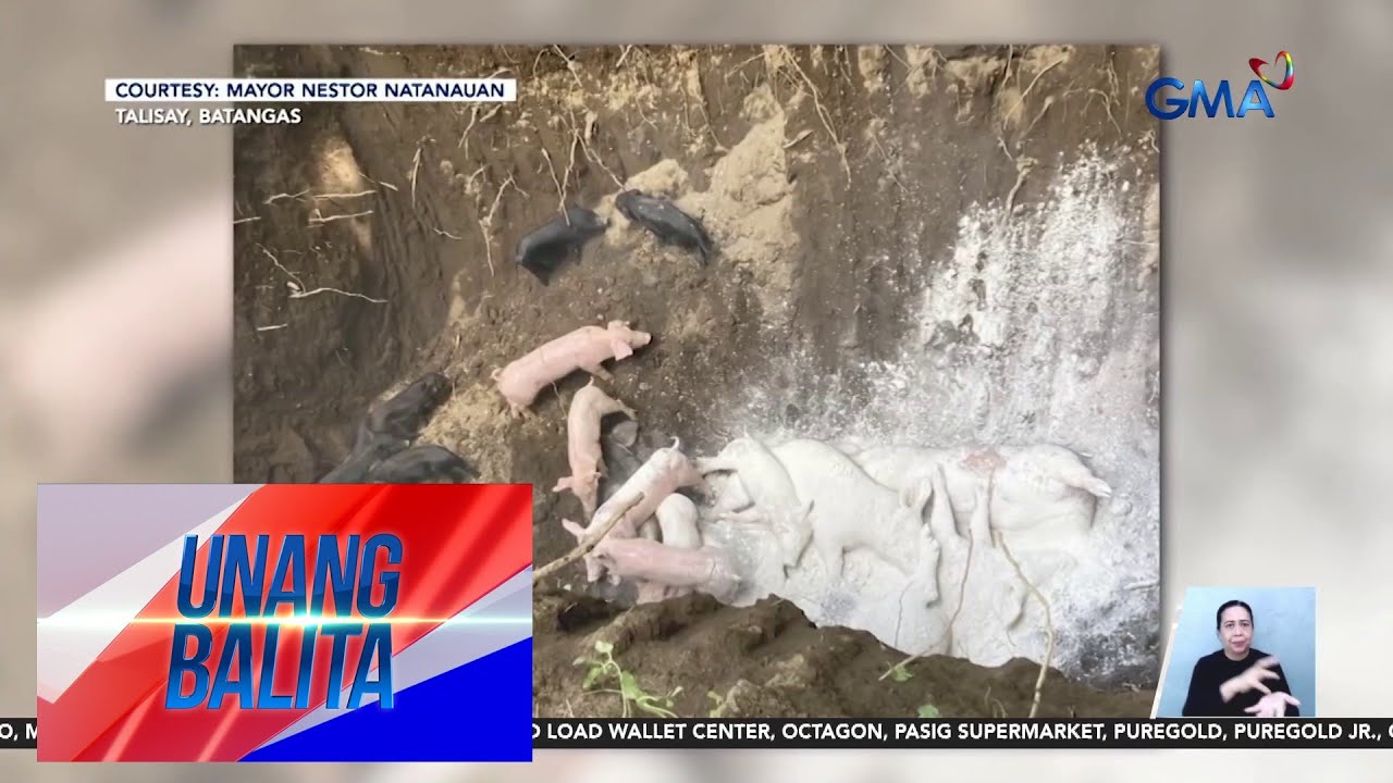 Department of Agriculture – Nabungkal na libingan ng mga baboy na dati ...