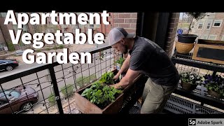 How To do a Vegetable Garden on a Apartment Patio