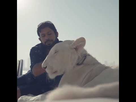 The unbelievable lifestyle of Dubai prince humaid abdulla albuqaish ...