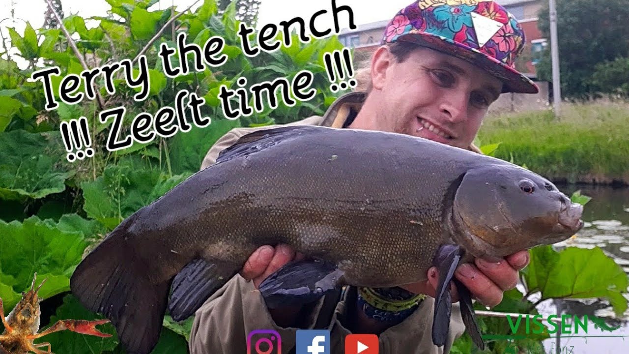 Terry the tench time !!!Zeelt power!!! - YouTube