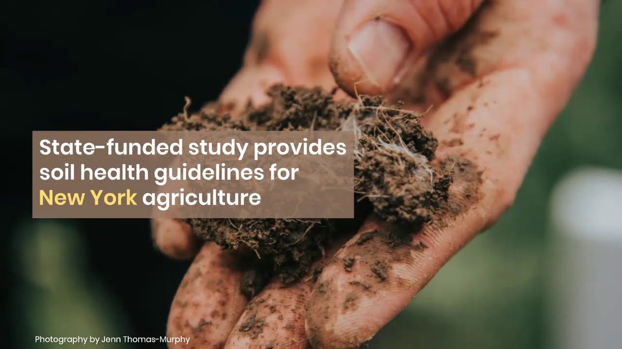 State-funded study provides soil health guidelines for New York ...