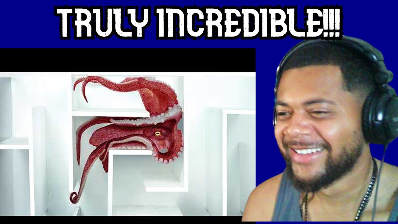 Octopus VS Underwater Maze | REACTION!! - YouTube