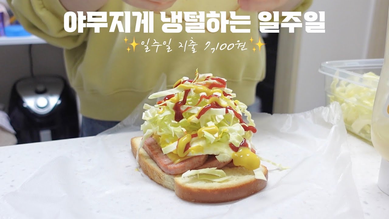 냉털하고 도시락 만드는 자취생의 절약 브이로그 채널 방향성 고민🥲 일반식 다이어트 볶음밥 샌드위치 토스트 무지출