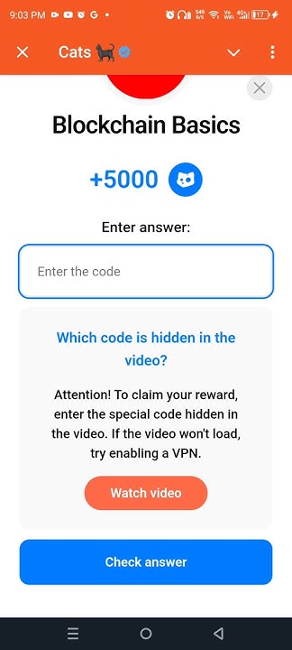 Blockchain Basics Cats Code | Blockchain Basics cats video code today - YouTube