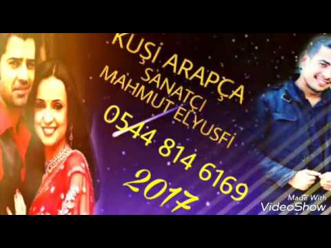 ARAPÇA KUŞI ŞARKISI CIKTI 2017