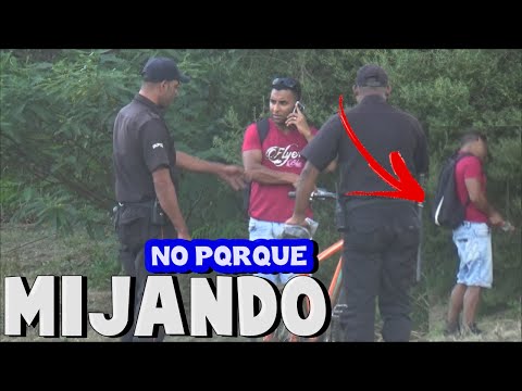 MIJANDO EM  PULICO | ((( Pegadinha )))