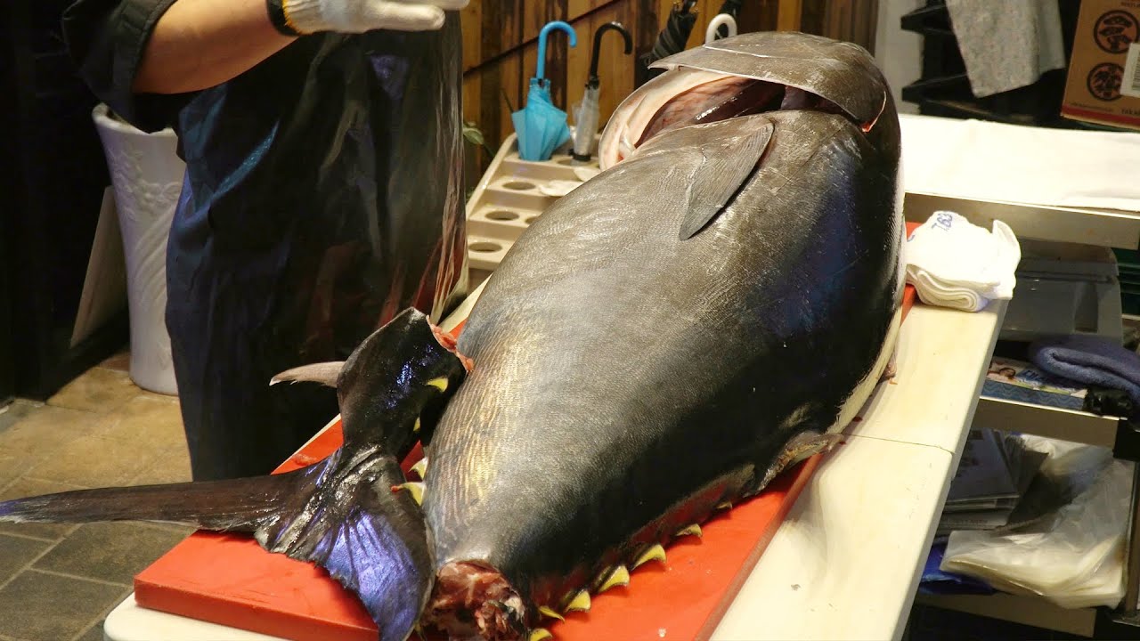 A 90kg human weight giant tuna dismantling show 도리참치 90kg 사람 무게의 거대 참치 ...