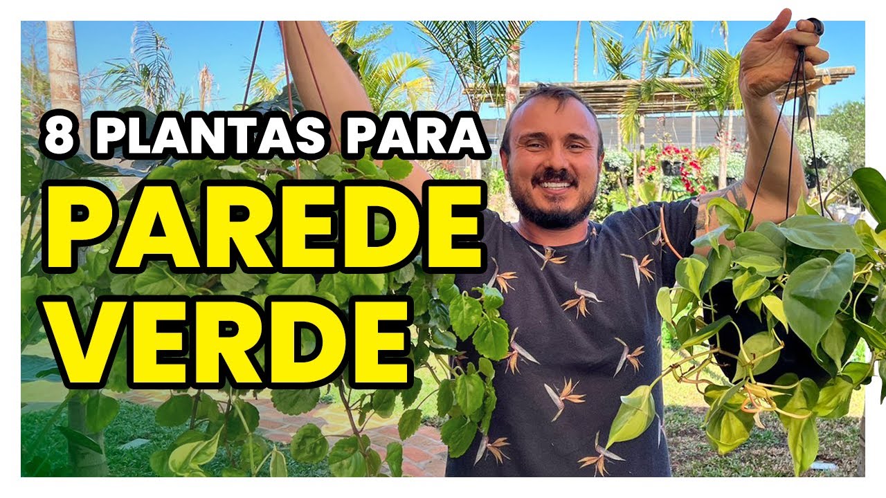 PAREDE VERDE | Conheça 8 plantas para você montar em casa - YouTube