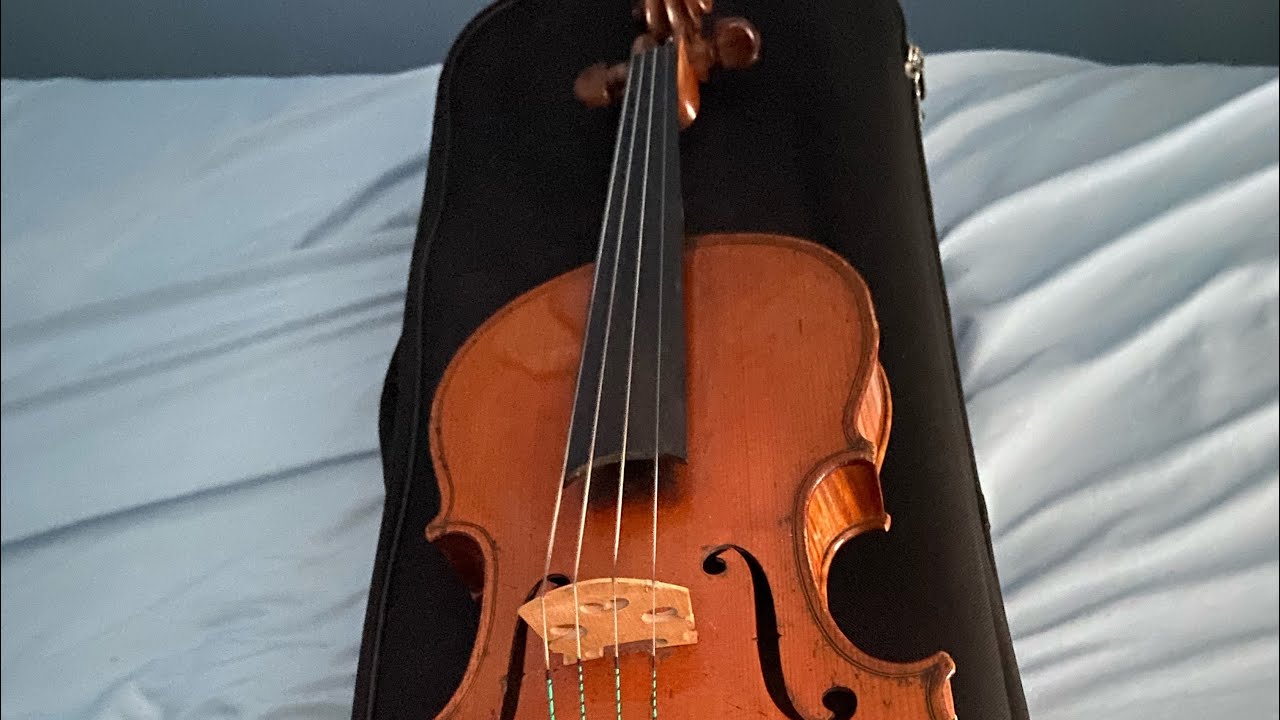 Lover- Taylor Swift Viola Cover (this is for you Avery) - YouTube