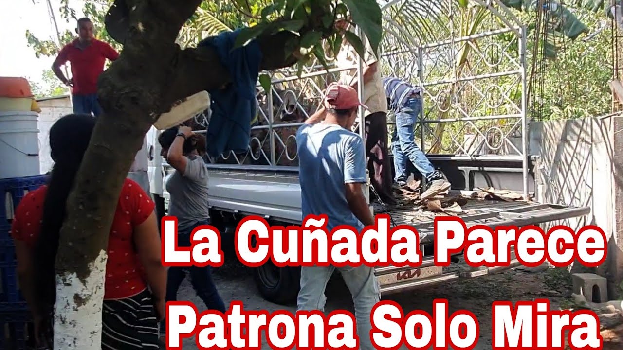 la Cuñada Parece Patrona Solo Mira que Tomas Trabaja Doro - YouTube