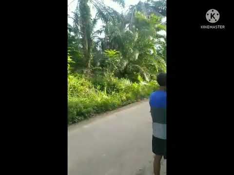 kondisi antrian di pabrik mmil