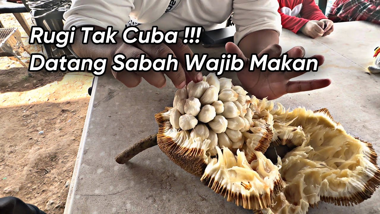 Buah Terap !!! Sedap Atau Tidak Reaksi Kali Pertama Mencuba Makan - YouTube