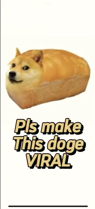DOGE LOAF - YouTube