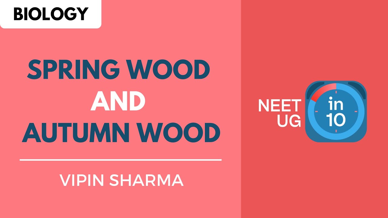 Spring Wood and Autumn Wood | NEET Biology | NEET UG in 10 - YouTube