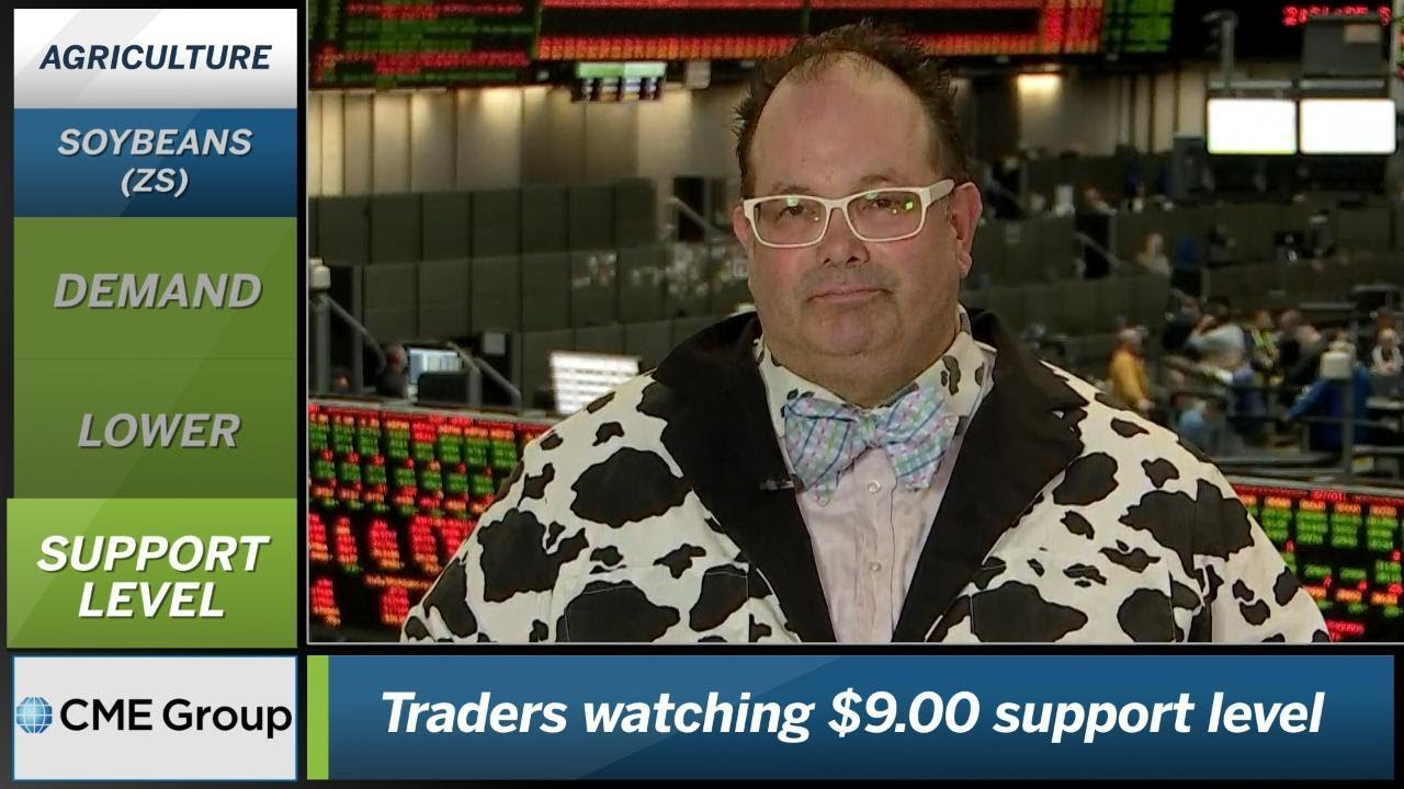 February 27 Grains Commentary: Scott Shellady - YouTube