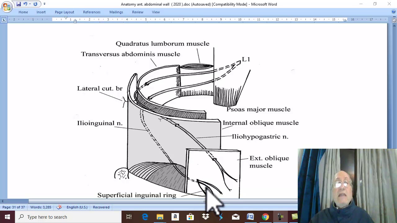 Anatomy GIT module in English 2021 ( Nerves of anterior abdominal wall ...