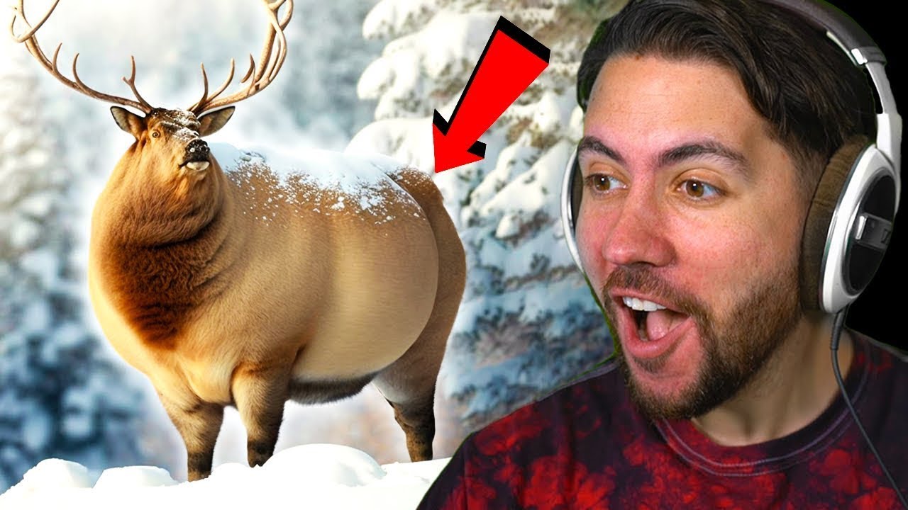 FATTEST Animals Ever Caught On Camera - YouTube