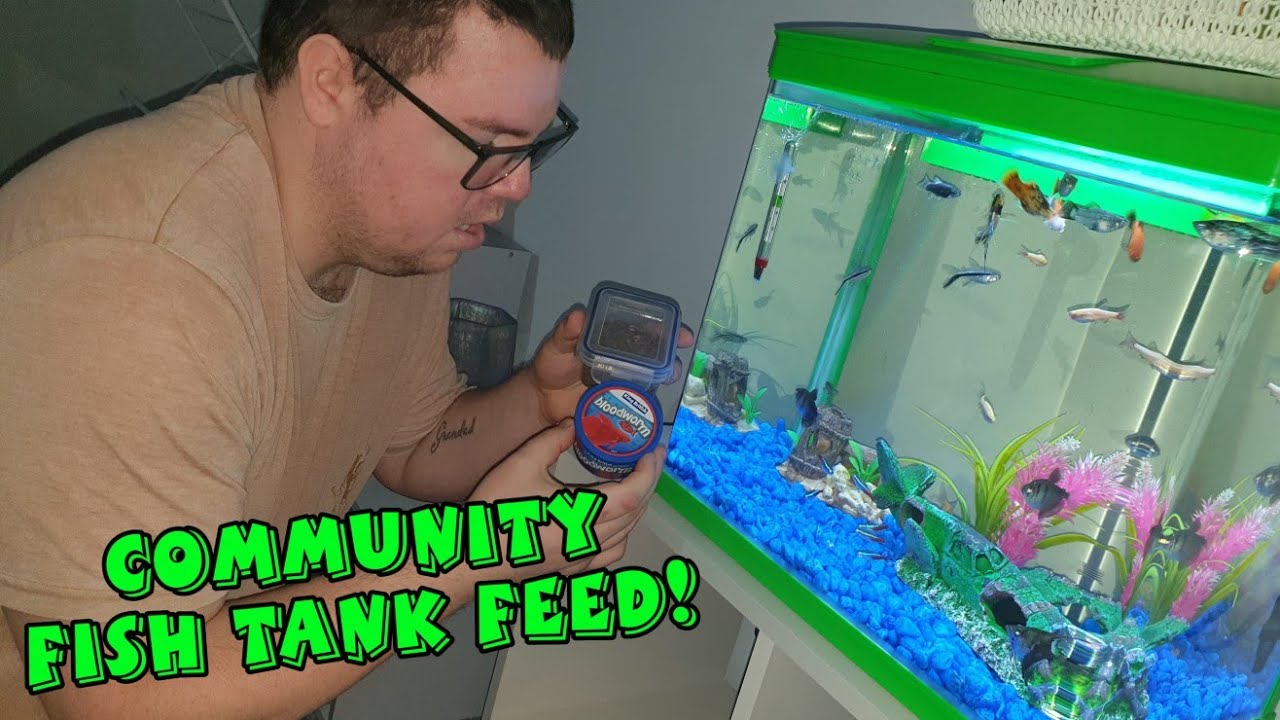 FEEDING THE COMMUNITY TANK! 🤘 - YouTube