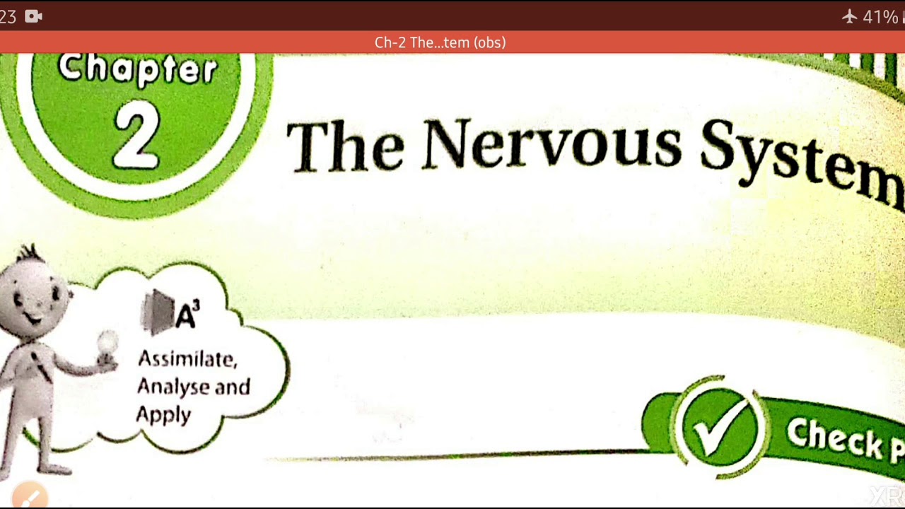 Class 5 Ch 2 part 1 - YouTube