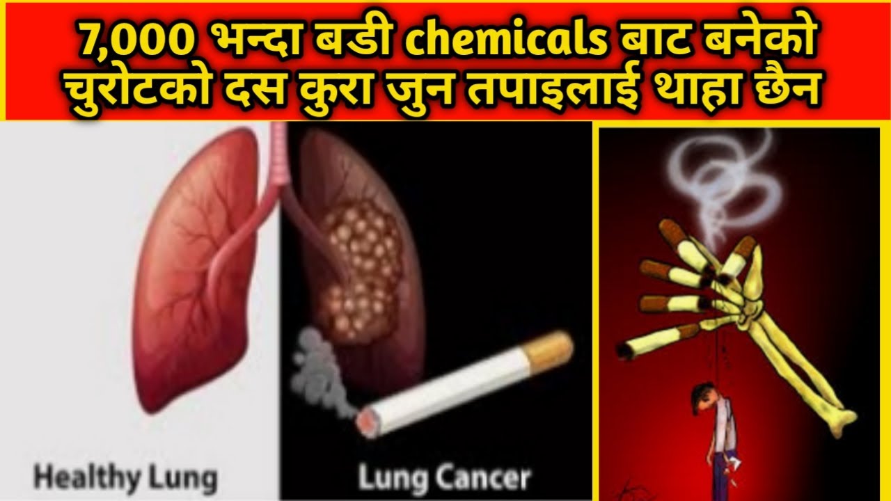 Top 10 facts about smoking in Nepali. - YouTube