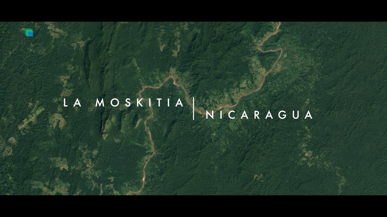 🐆La Moskitia (Nicaragua). "Nadie es dueño, si no que trabajamos en ...