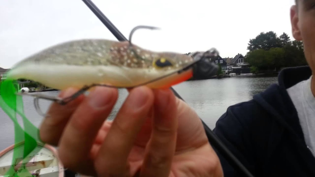 Rozemeijer Pike Strike Series Swirl - YouTube