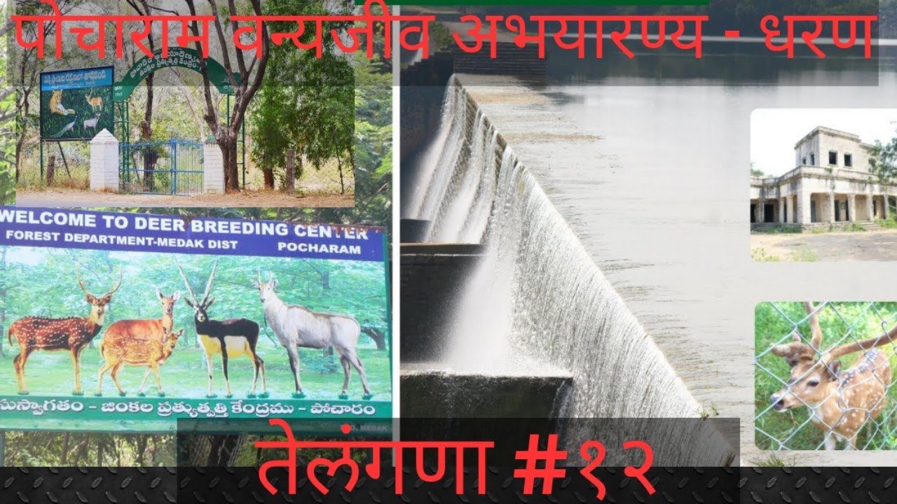 पोचाराम वन्यजीव अभयारण्य-धरण |तेलंगणा #१२ | POCHARAM WILDLIFE SANCTUARY ...