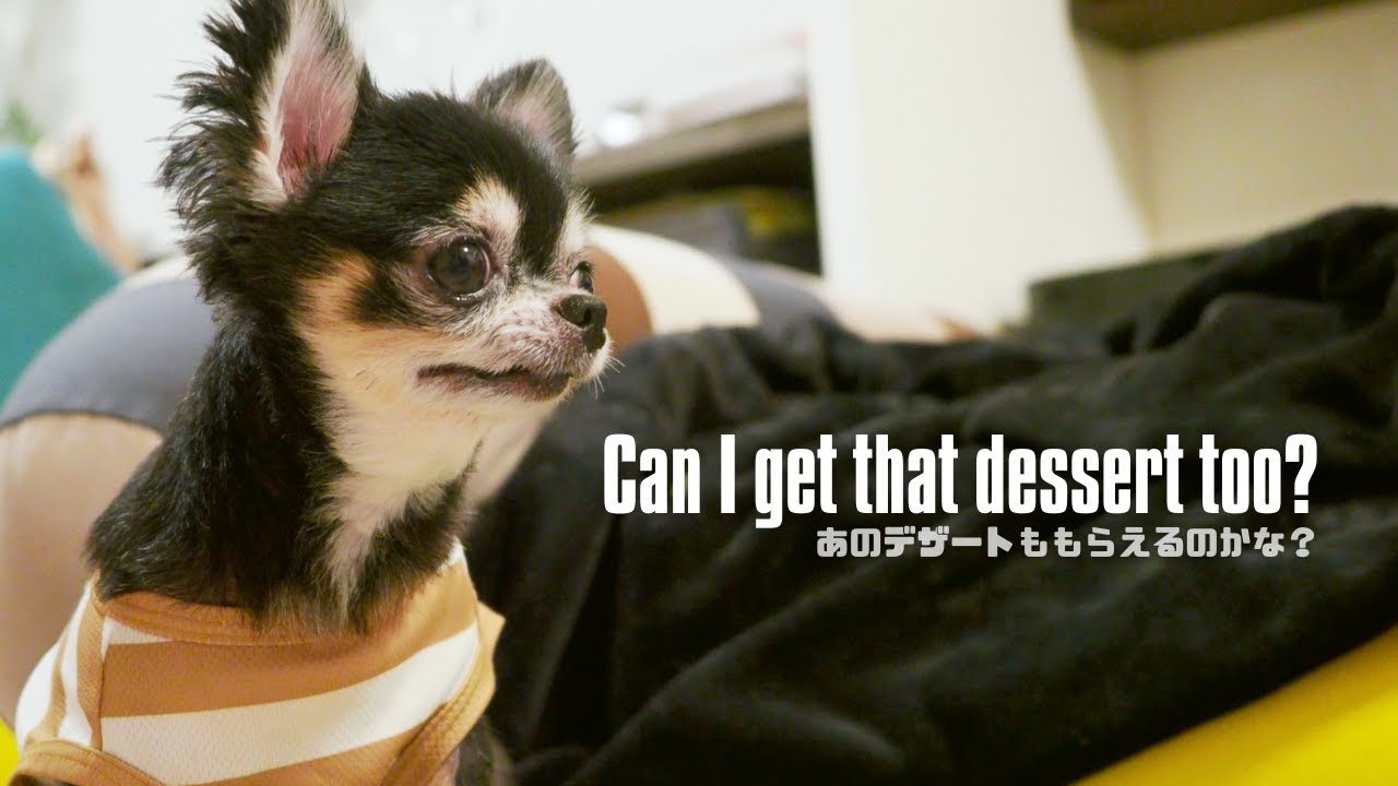 Can I get that dessert too? - Nene - YouTube