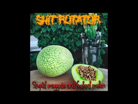 Shit Rotator - Stupid Maggots and Fucked Melon (Full Album) [2023 Goregrind]