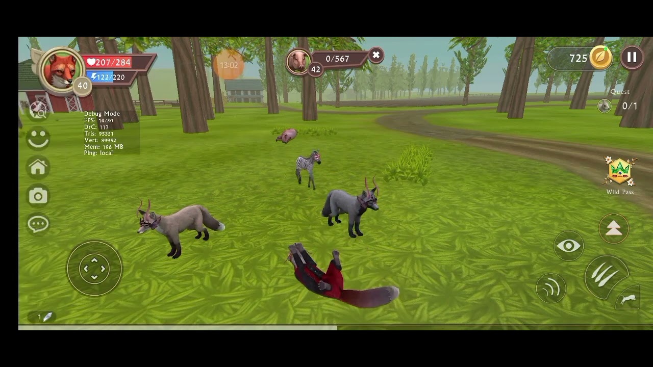 wildcraft/ I play with the wolf, the fox and the lynx - YouTube