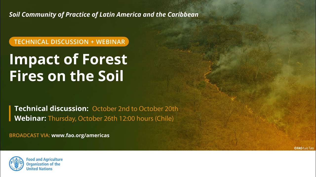 Webinar: Impact of wildfires on the soil - YouTube