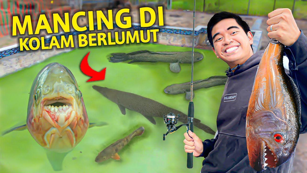 MANCING DI KOLAM BERLUMUT! DAPET IKAN LANGSUNG KITA MASAK! - YouTube