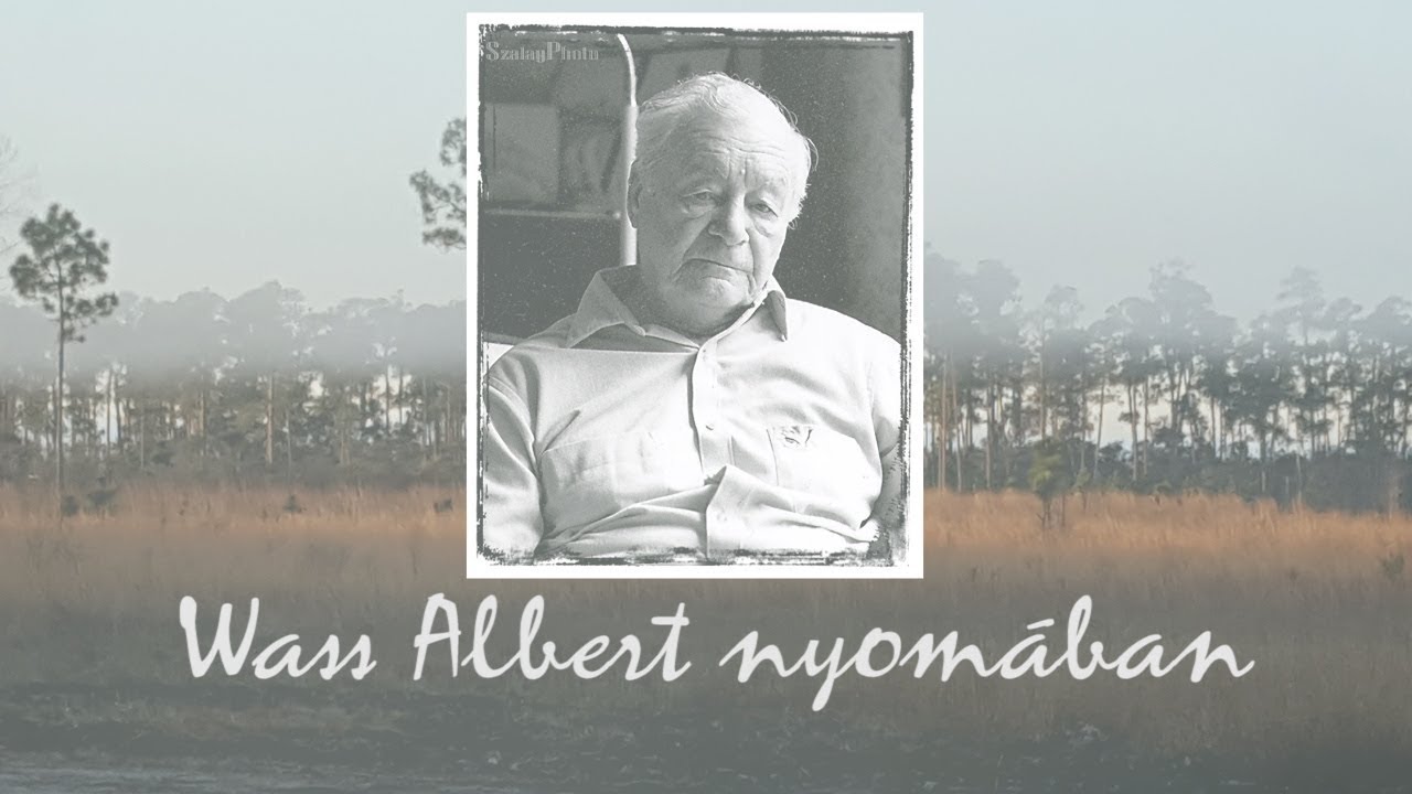 Treasure hunt in Florida, Kincskeresés Floridában, Wass Albert író ...