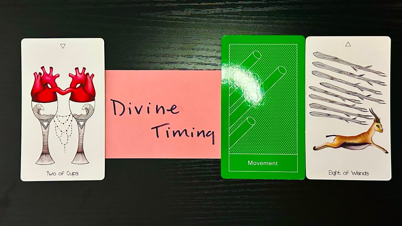 HIGHER LEVEL COMMITMENT IS COMING IN FOR THIS CONNECTION 💍♾️🤍 Things ...