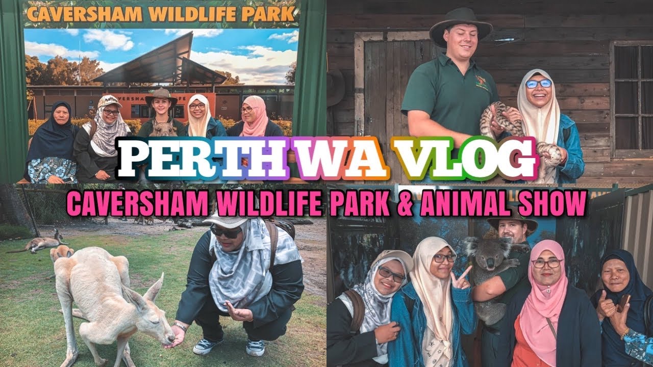 Caversham Wildlife Park & Animal Show | Perth Western Australia Vlog ...