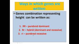 Purebred Genetics Definition