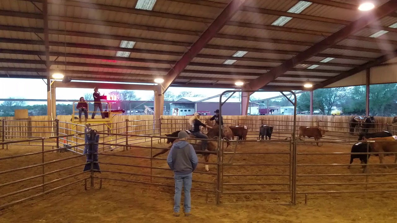 Xtra Smart Jazz & Dazzling Rhonda Rey - Ranch Sorting Jackpot - YouTube