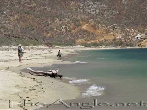 Baja Beach Fishing - Brandon Quick on His Feet - YouTube