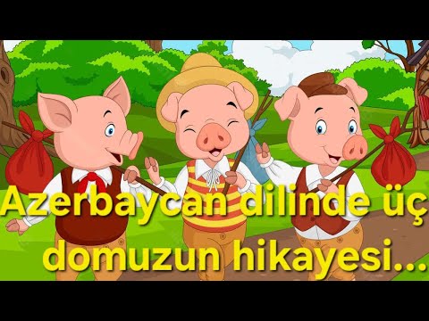 Azerbaycan dilinde üç domuzun hikayesi/çocuk masalı/çocuk dünyası