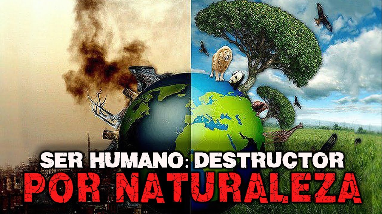 💀 El hombre ESTÁ DESTRUYENDO el PLANETA 💀 | Hábitat y medio ambiente ...